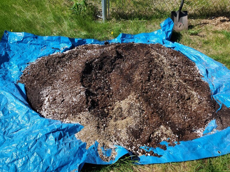 Reusing Soil In Container Gardens Year After Year