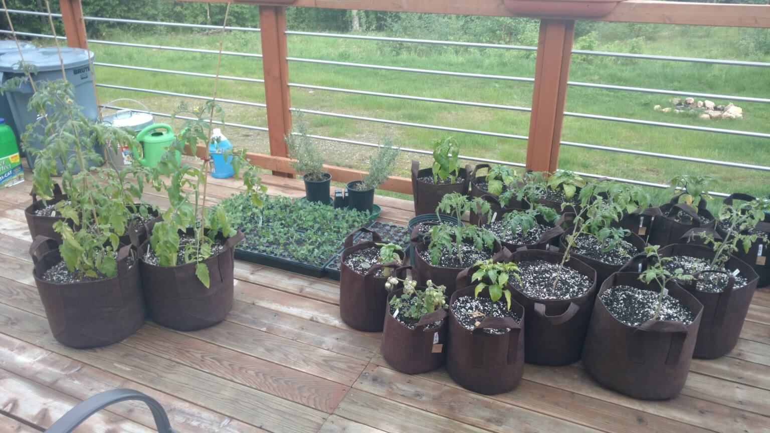 GroBuckets, Sub Irrigated Containers & Off-Grid Subarctic Container ...