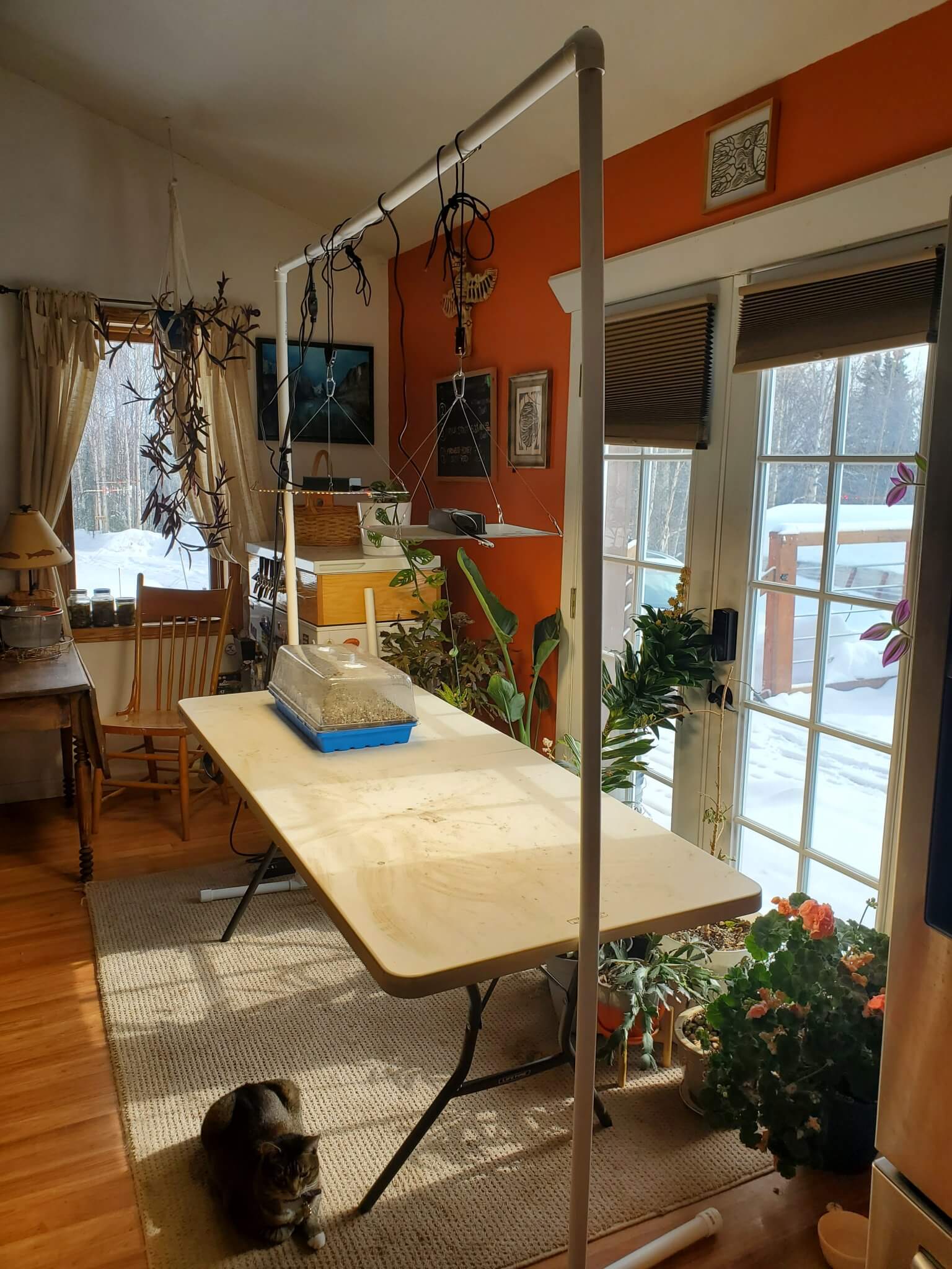 Growing Your Own Vegetable Garden Starts Indoors In Cold Climates