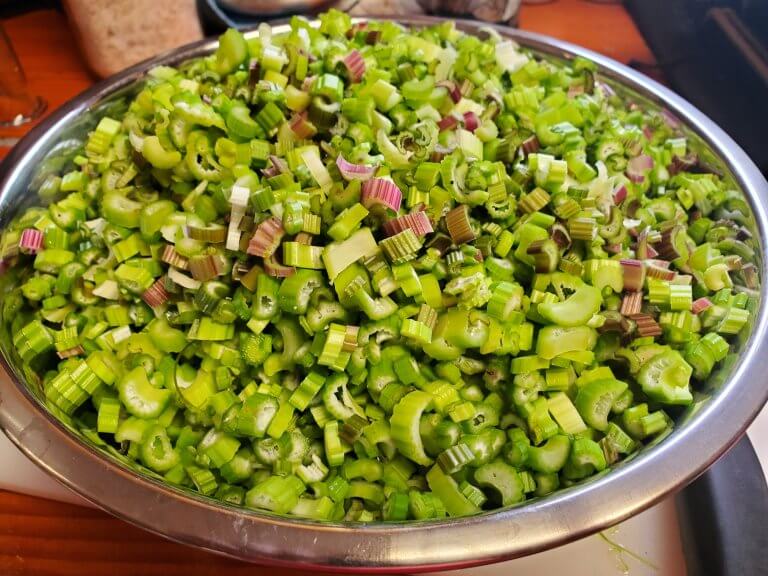Growing Celery In Cold Climates & The Subarctic