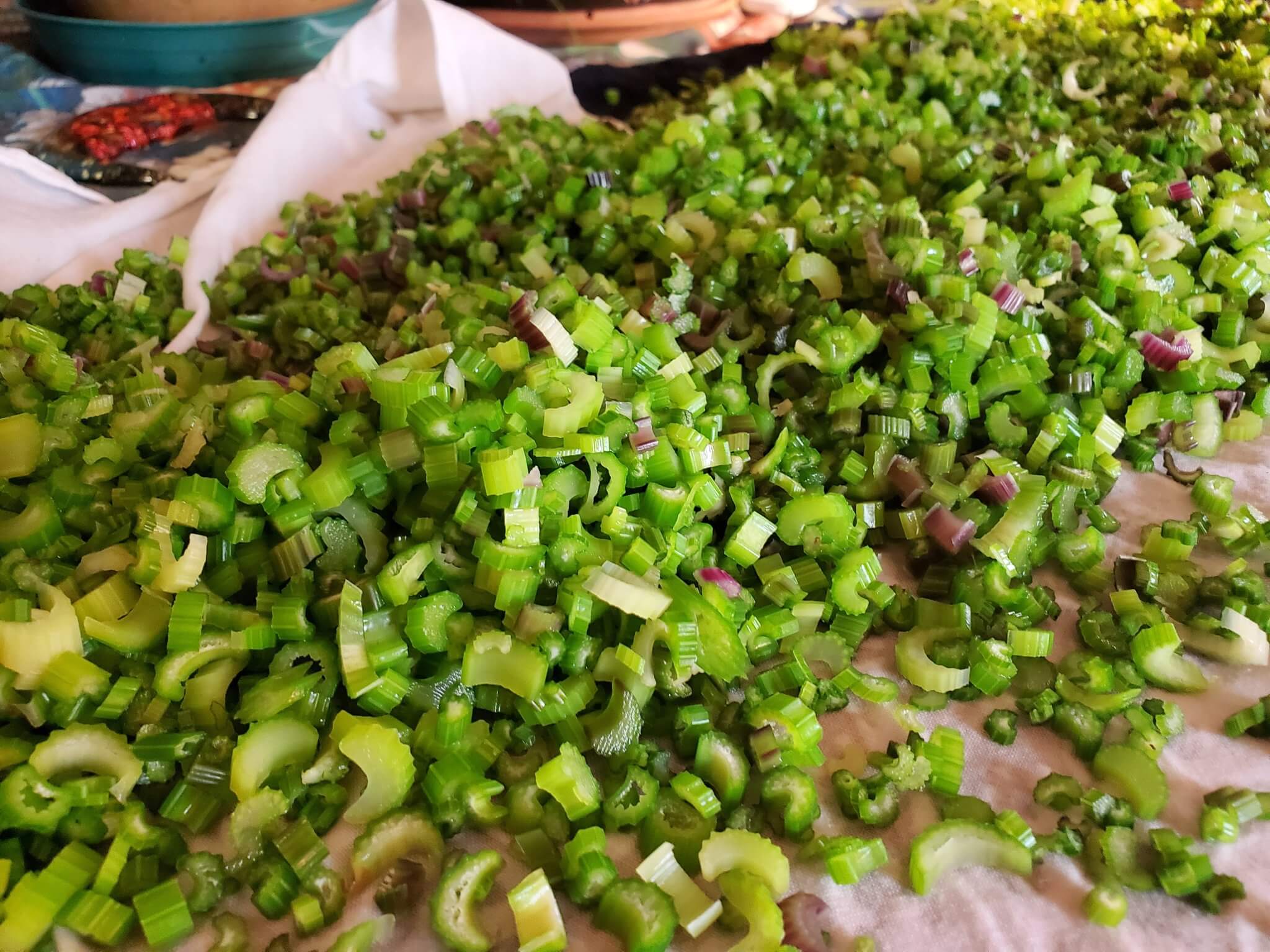 Growing Celery In Cold Climates & The Subarctic