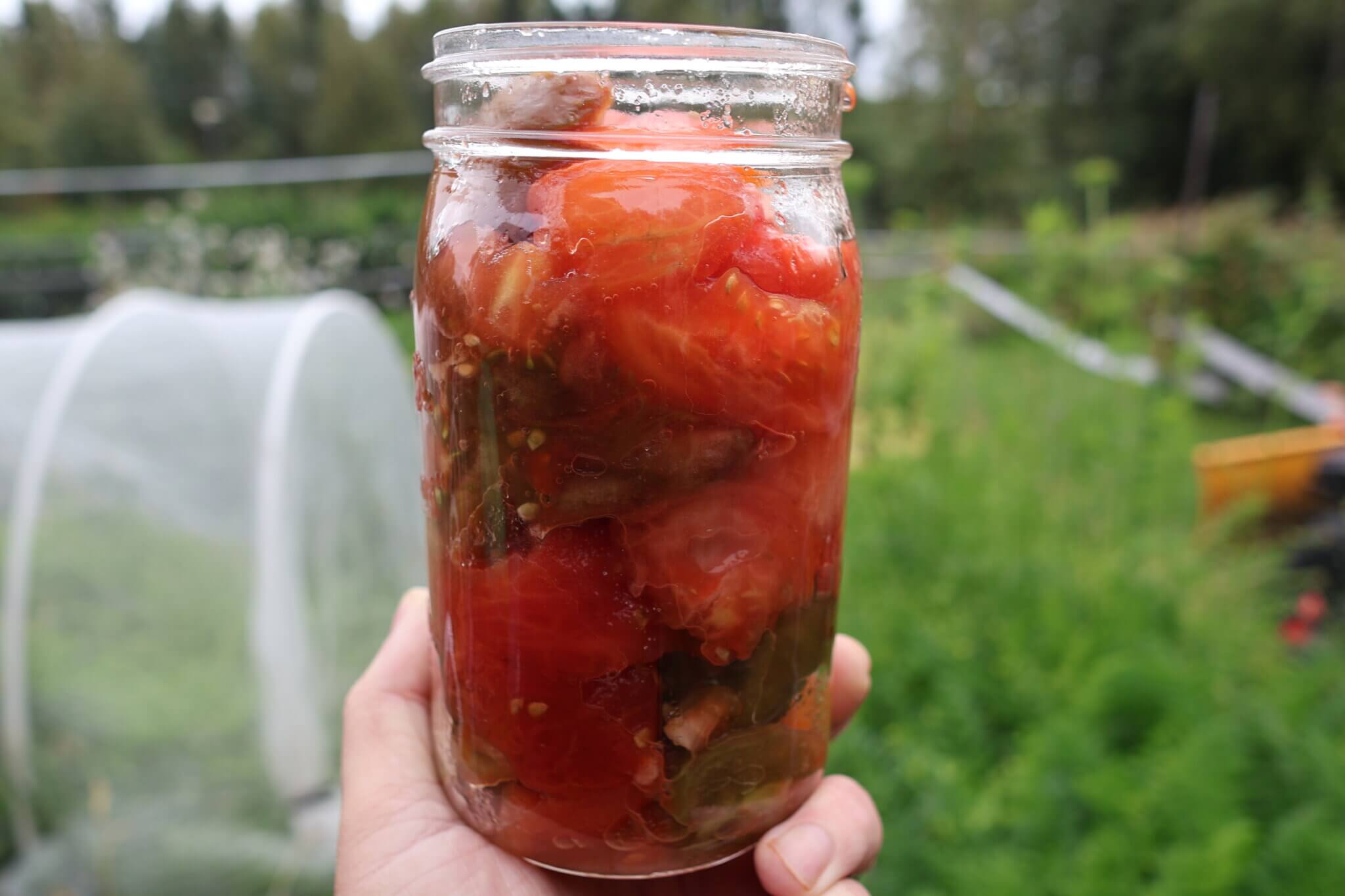 Slicer & Saucing Tomatoes: What Are The Uses & Are They Special Types?