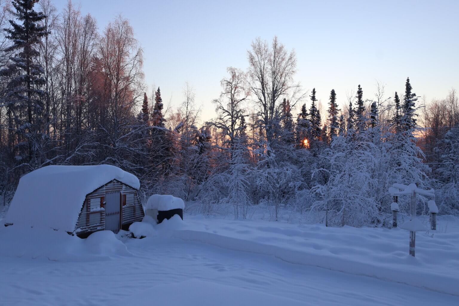 The Alaska Garden Season Begins: Our Journey As A Northern Garden Blog